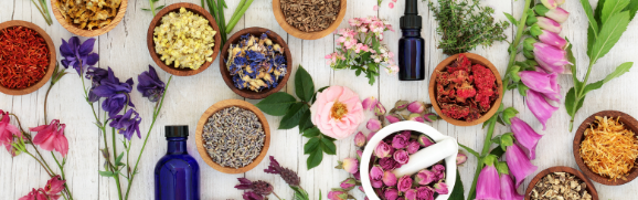 The Benefits of Herbal Medicine (Phytotherapy) for Multiple Sclerosis ...