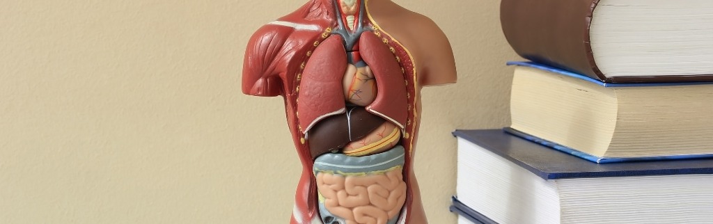 POEMS syndrome: symptoms, diagnosis and treatment - Carenity